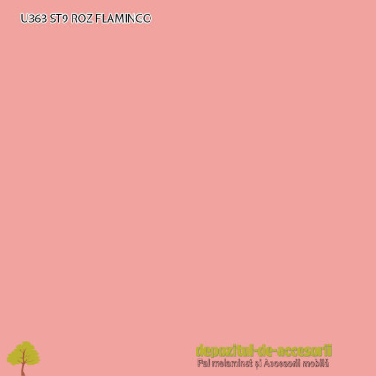 Pal melaminat - la cel mai mic pret (2)